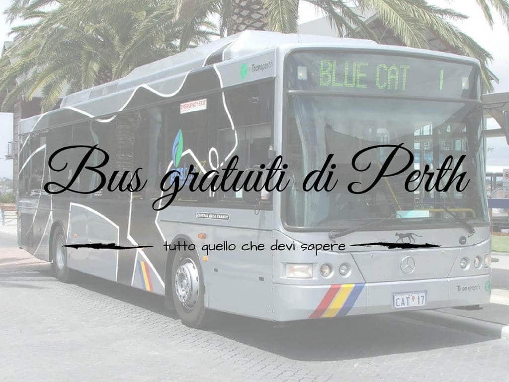 Bus gratuiti di Perth: tutto quello che devi sapere - Viaggiando A ...